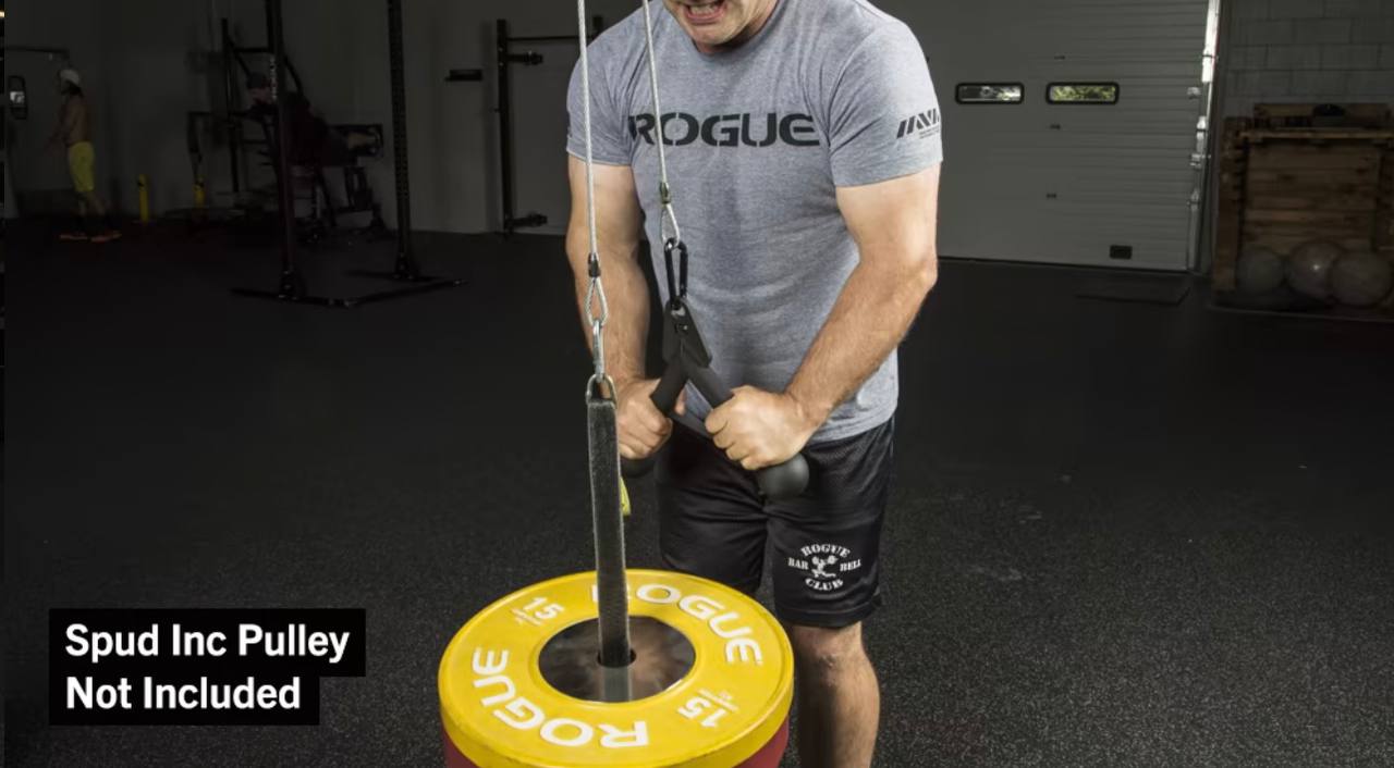 Rogue Tricep Push Down Attachment- Accesorio para polea – Iron ...