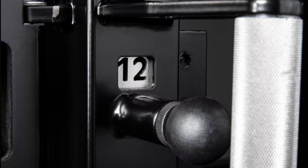 Rogue CC-1 Cable Crossover - Cueva con peso incluido – Iron Equipment ...