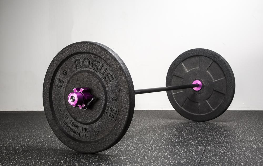 Rogue OSO Mini Bar - Barra olímpica para niños – Iron Equipment ...